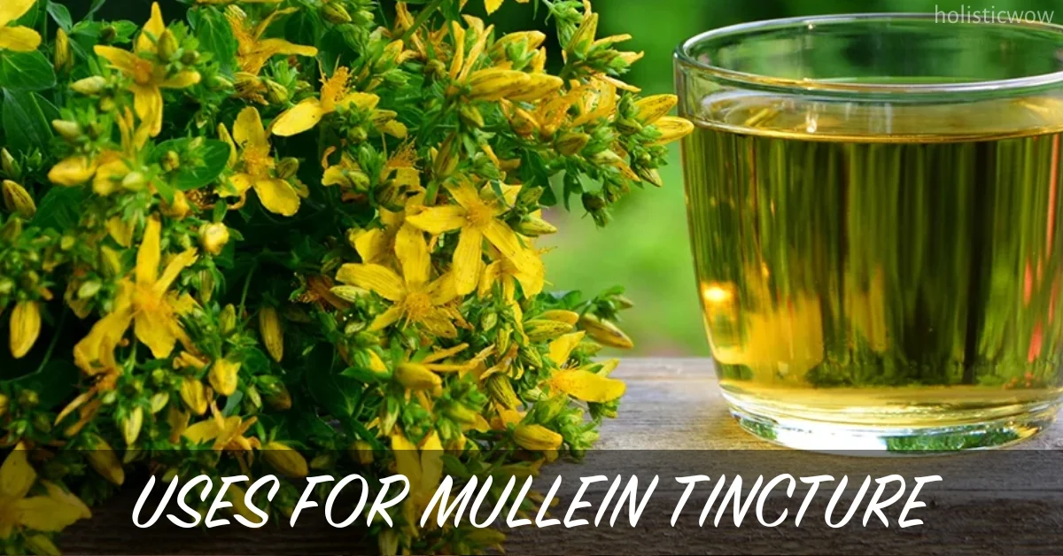 8 Therapeutic Uses for Mullein Tincture for Wellness